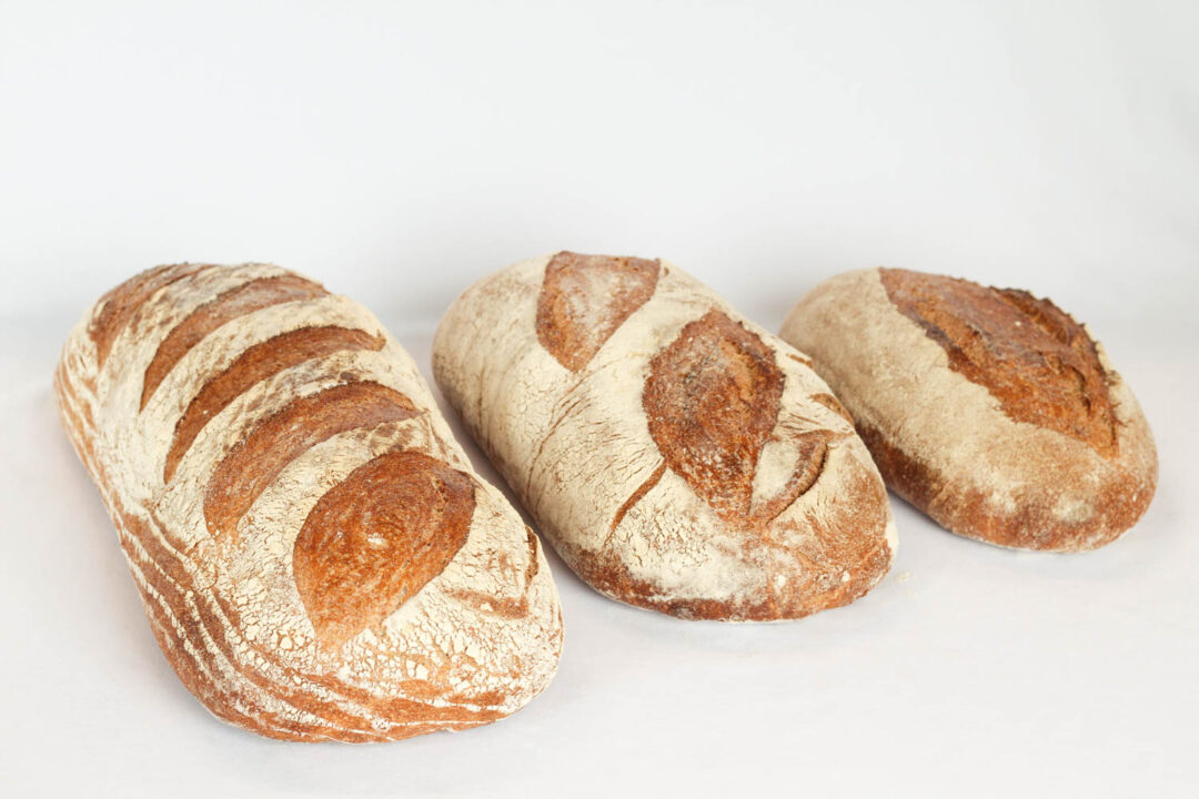 Country French Bread Batard - Sadie Rose Baking
